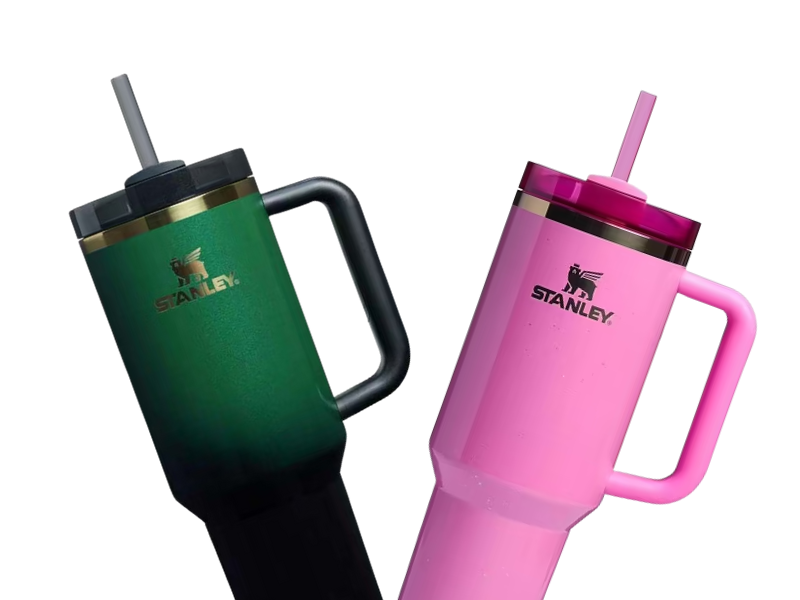 Stanley x Wicked ELPHABA | Magical Drinkware | UNIQSY